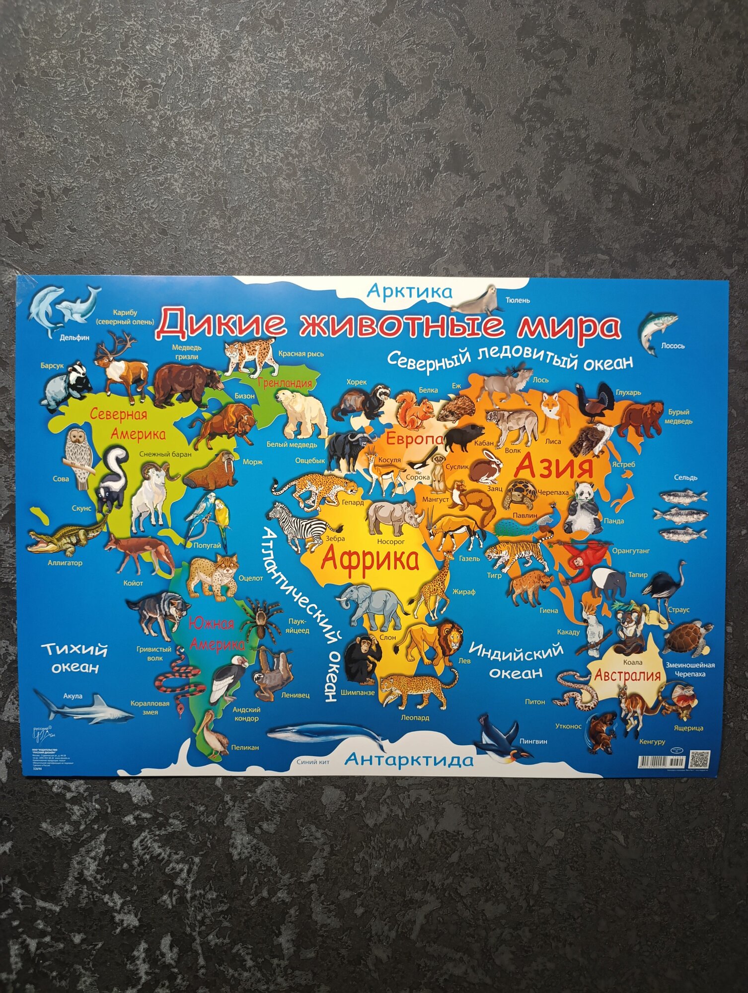 Плакат "Дикие животные мира" 49*69 см