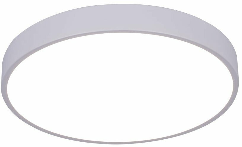 Потолочный светодиодный светильник Arte Lamp Arena A2661PL-1WH