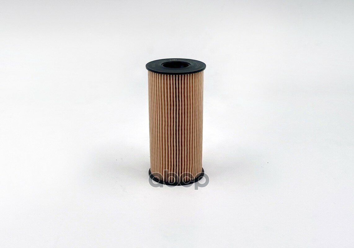 Фильтр масляный NISSAN X-Trail II 2.0L 07- BIG FILTER арт. GB1233