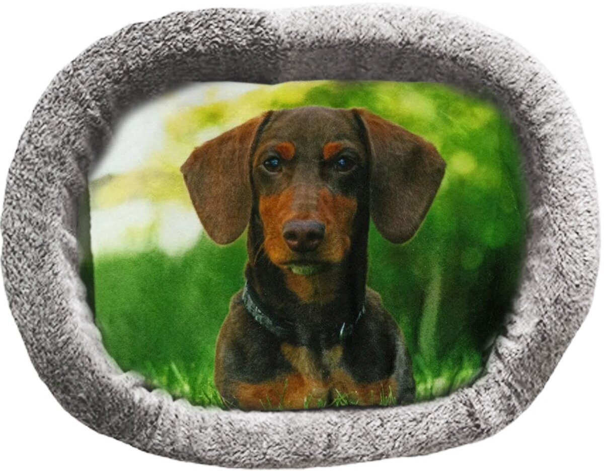 Лежак для собак PerseiLine Rich Breed Дизайн № 5 принт 39 овальный 55 х 47 х 16 см (1 шт)