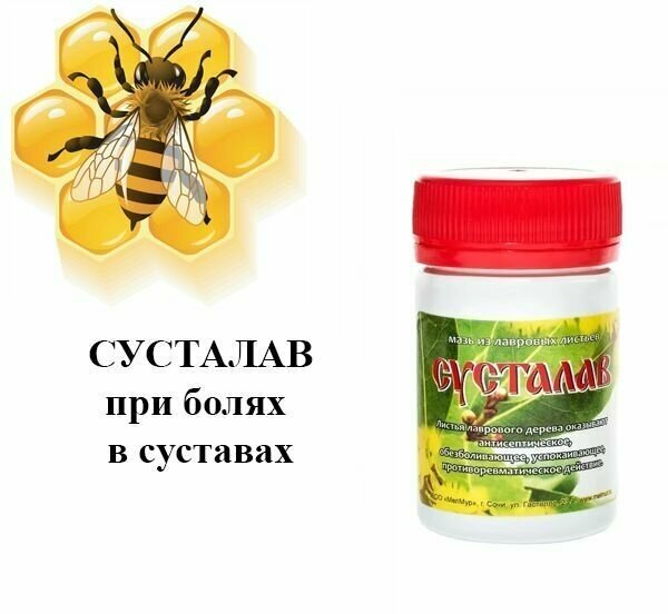 Мазь для суставов Сусталав 55г из лавровых листьев (листья лавра благородного, прополис, норковый жир) / мелмур