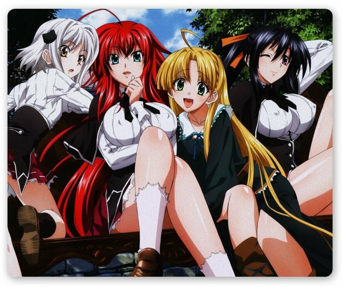 Коврик для мышки прямоугольный Демоны старшей школы / High School DxD
