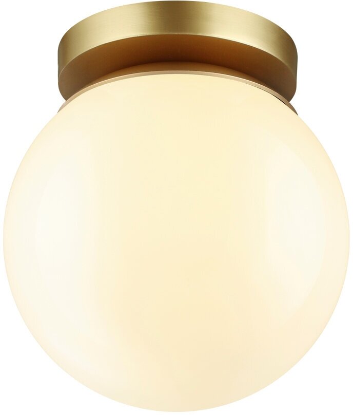Уличные потолочные Odeon Light Bosco 4247/1C