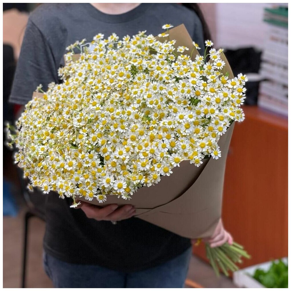 Букет Well Flowers "Ромашка", 25 цветков, круглый, 50см, бежевый, белый свежий букет цветов