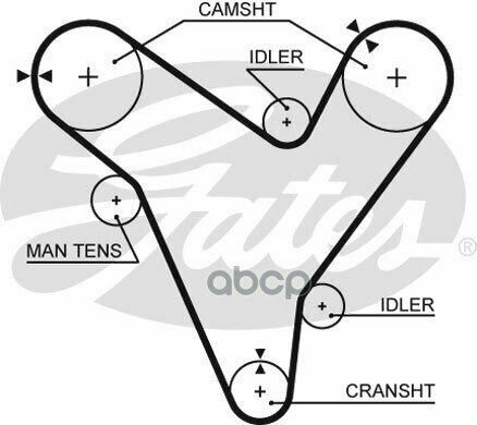 Ремень ГРМ Ford Probe / Mazda 323/626/MX-3/MX-6/Xedos 6/Xedos 9 Gates арт. 5379XS