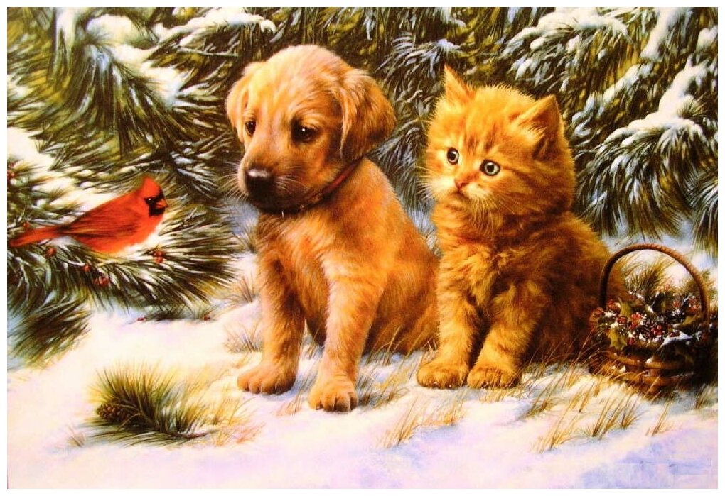 Алмазная картина 40х50 "В ожидании чуда" с подрамником