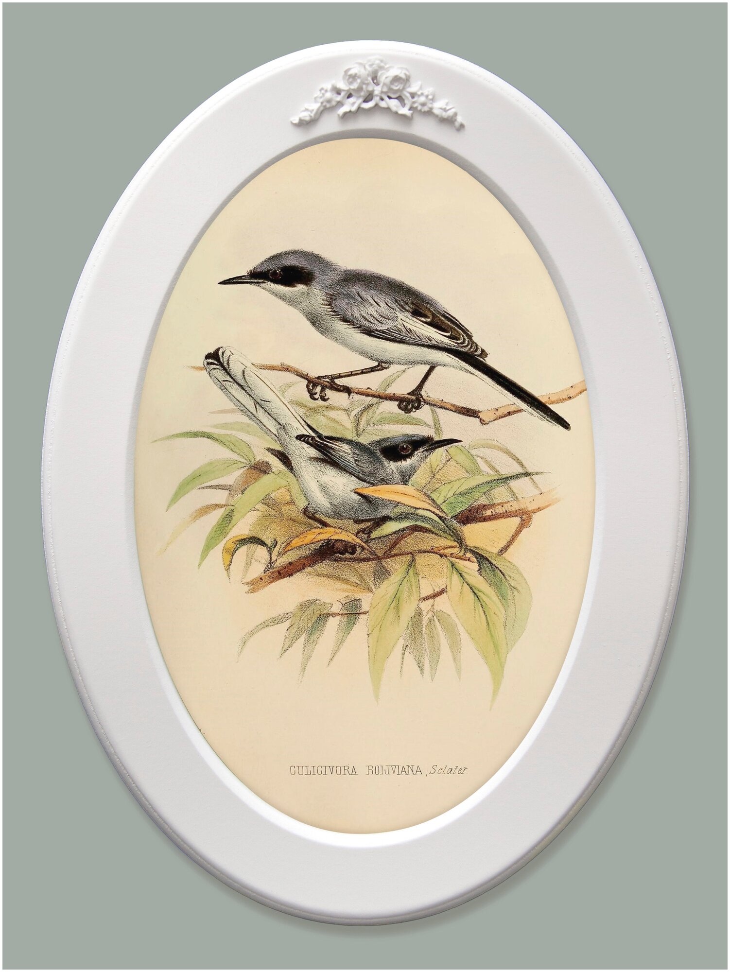 Картина в овальной деревянной раме с лепниной "Птички"