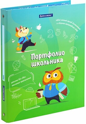 2 шт. Папка-портфолио школьника "отличник", 4 кольца, 20 файлов, 10 вкладышей, 7БЦ матовая, BRAUBERG, 115240