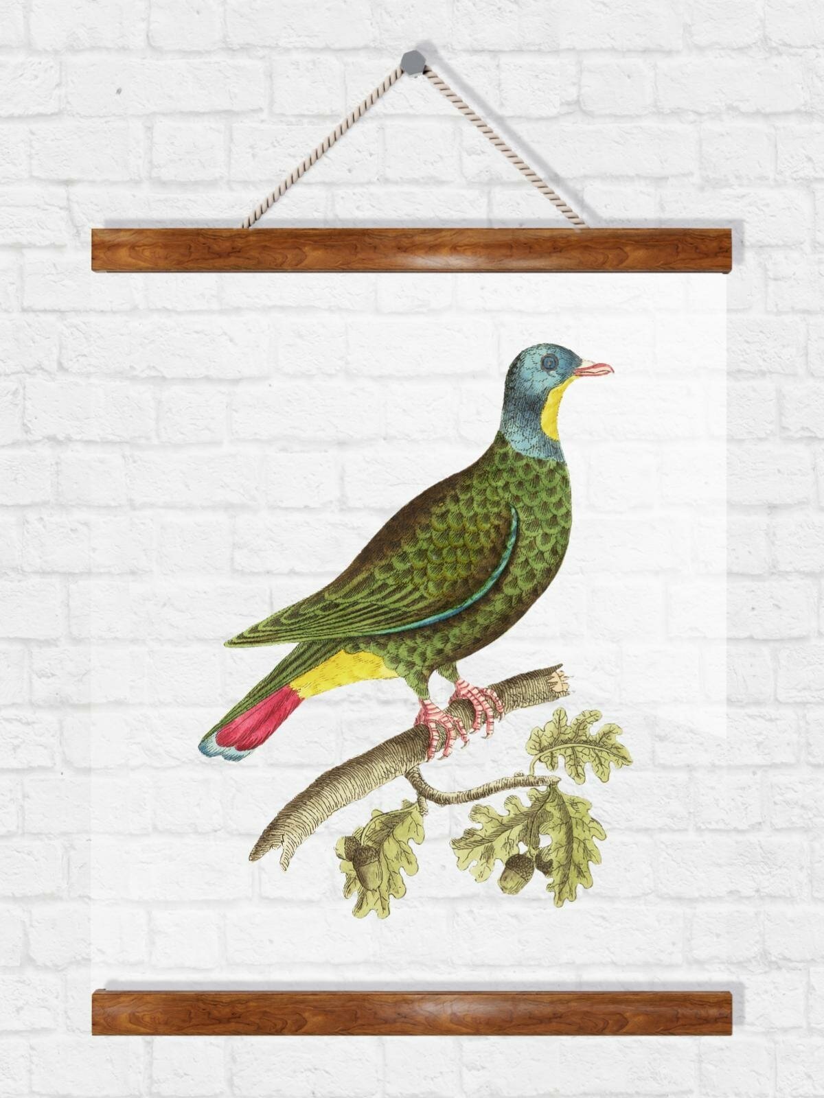 Постер / Плакат / Картина Прозрачный постер - Нарядная птица 60x90