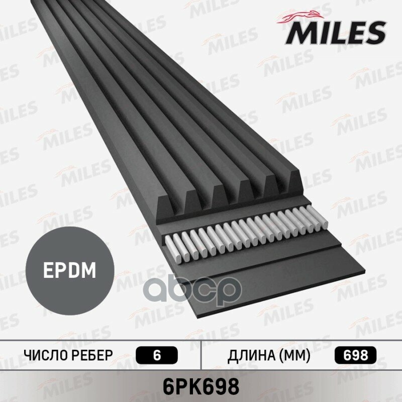Ремень поликлиновой Miles арт. 6PK698