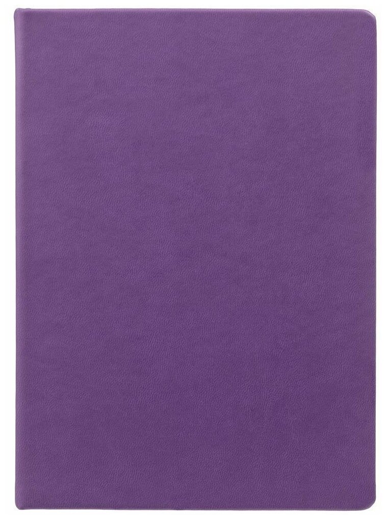 Ежедневник Cortado недатированный фиолетовый