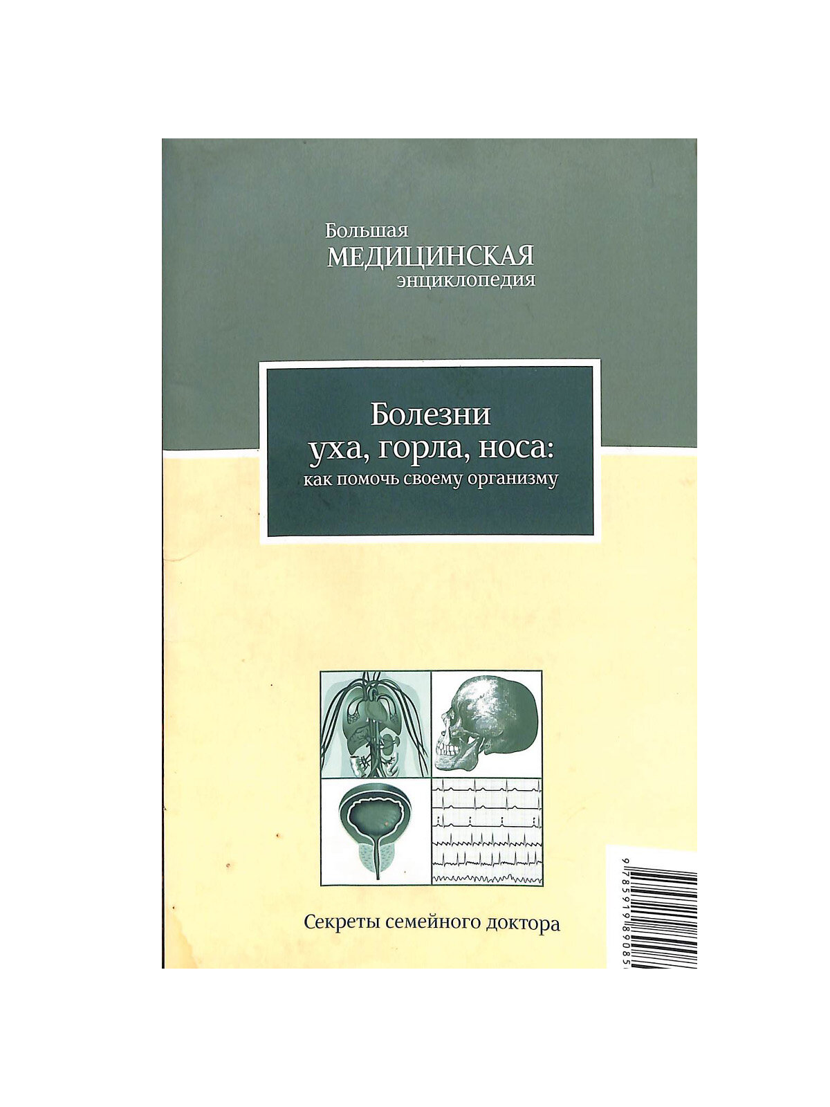 Болезни уха горла носа: как помочь своему организму
