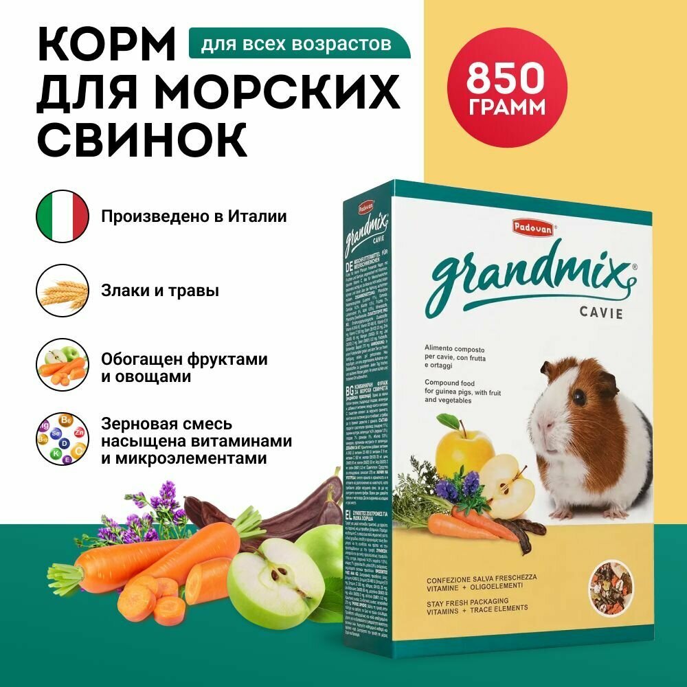 Padovan Корм GRANDMIX Cavie комплексны для морских свинок с витамином С 850г.