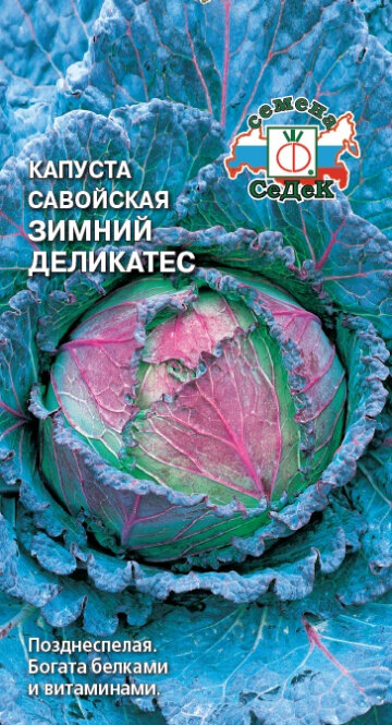 Капуста савойская "Зимний Деликатес" 10 упаковок по 1 гр - листья крупные, умеренно гофрированные, темно-зеленые, с оттенком красного цвета, и сильным восковым налетом.
