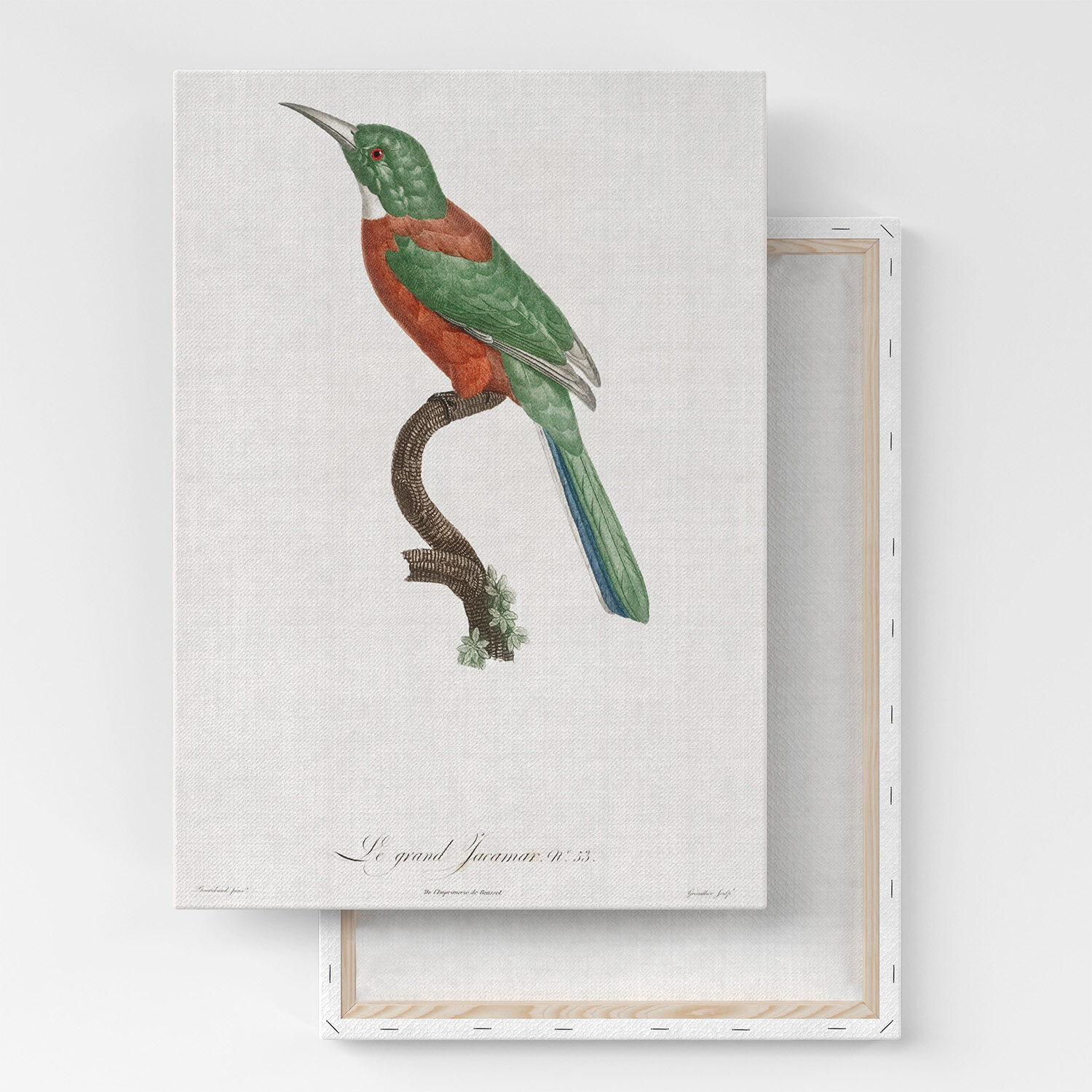 Картина на холсте, репродукция / Des Oiseaux de Paradis / Размер 60 x 80 см