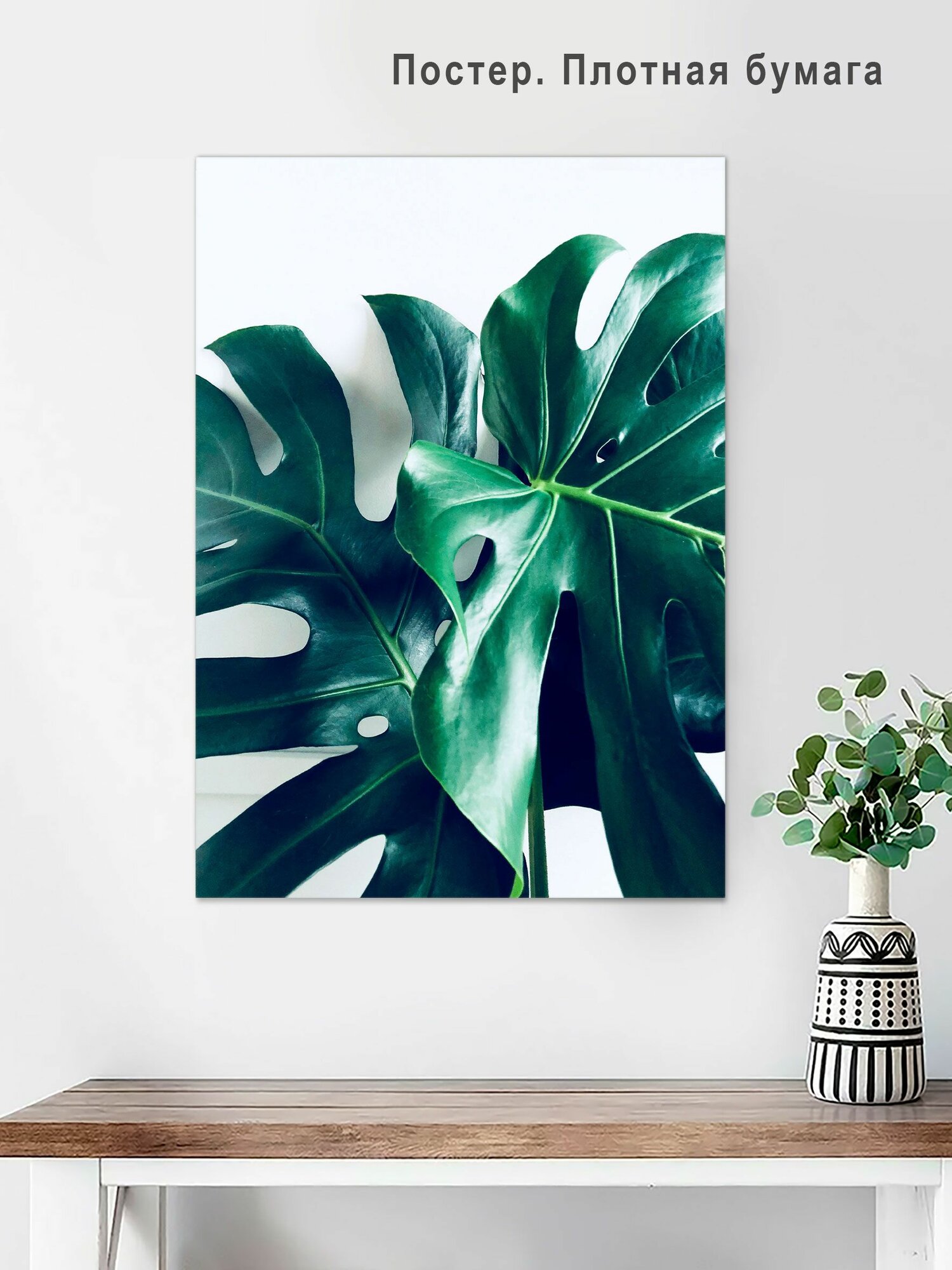 Постер, плакат Листья монстеры 40х60см