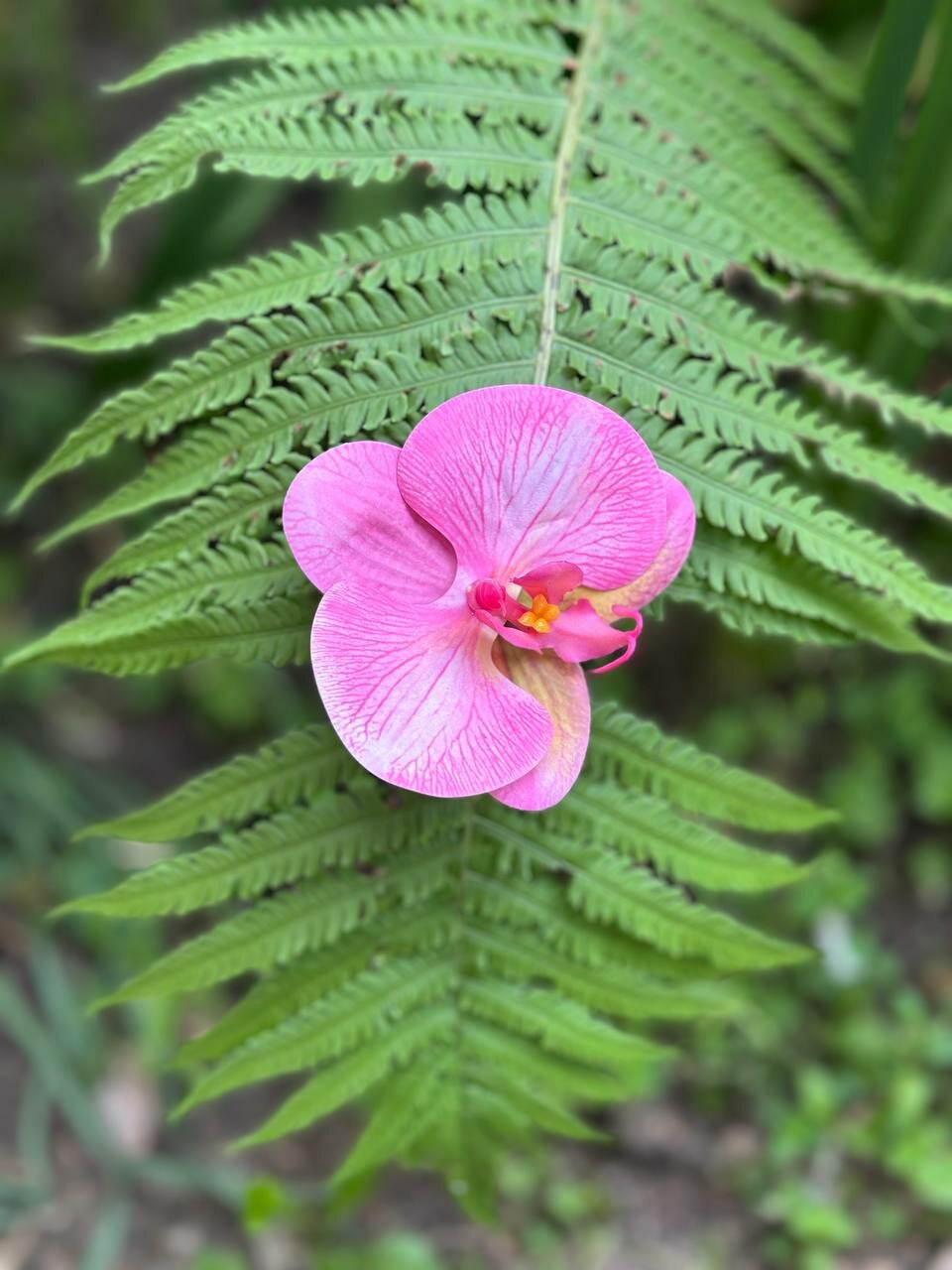 Брошь - Заколка для волос женская, зажим, крокодил. Брошка женская с реалистичным цветком орхидея. Свадебная бутоньерка