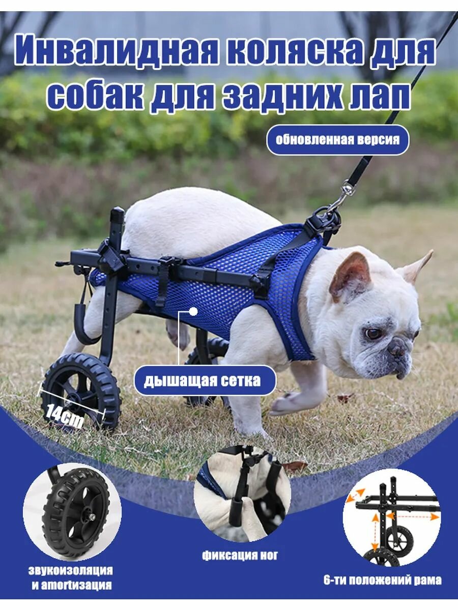 Инвалидная коляска для собак, Подходит для кошек Ходунки для собак, товары для животных-инвалидов Подходит для средних и маленьких пород,3 вида размеров можно регулировать, M-код
