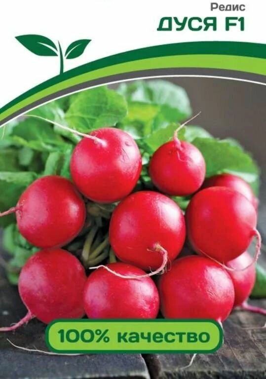 Коллекционные семена редиса Дуся F1