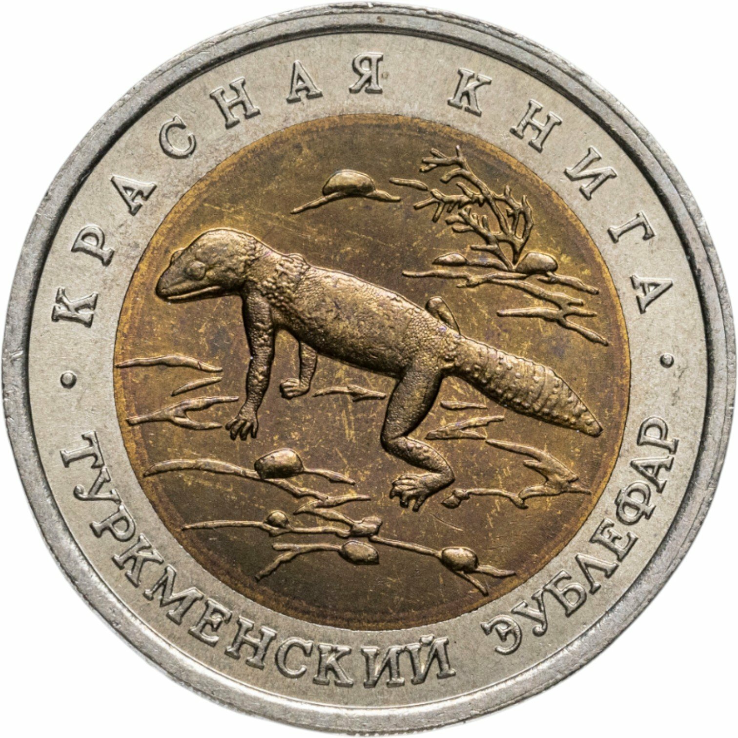 50 рублей 1993 ЛМД Туркменский Эублефар - Красная книга, Биметалл, в сохранности AU