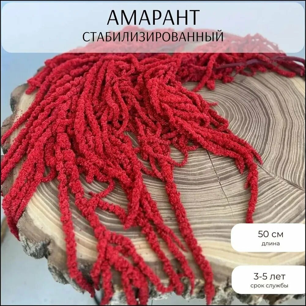 Сухоцветы Амарант, 50 см, 150 гр, 1 шт