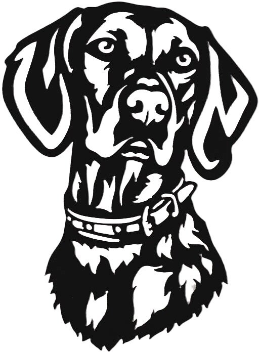 Панно декоративное металлическое "Дратхаар". Цвет черный, 30х40 см