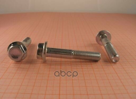 Болт М10х1,25х55 (с буртиком) (ролика натяжителя для а/м ВАЗ 2170) БелЗАН арт. 21120-1001371-008