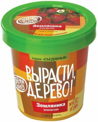 Набор для выращивания растений вырасти дерево! «Земляника ананасная» (банка, грунт, семена)
