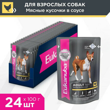 EUKANUBA ADULT ALL BREED CHICKEN 24 шт по 100 гр влажный корм для взрослых собак всех пород, курица в соусе