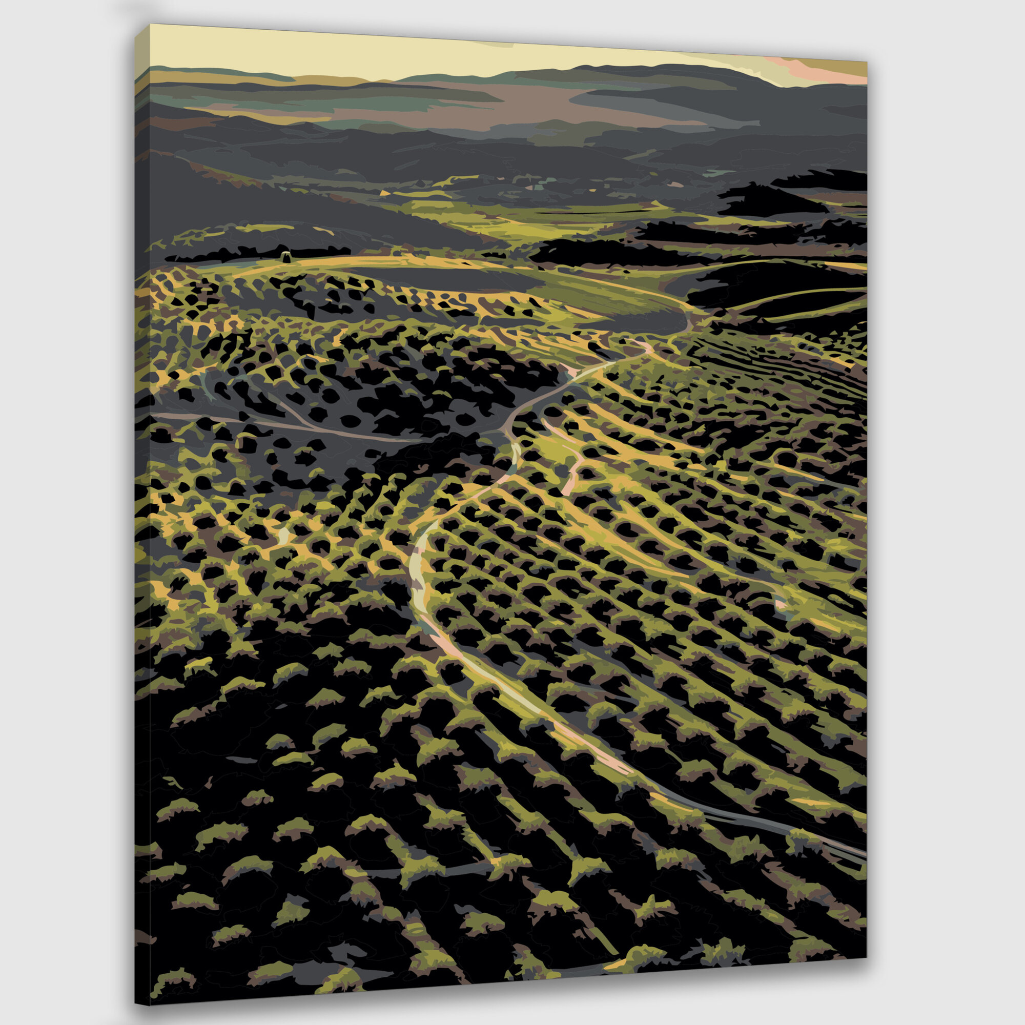 Картина по номерам 40x50 см, аэрофотосъемка, оливковые рощи, Греция, золотой час, солнце, золотистое сияние