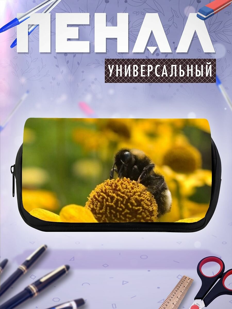 Школьный пенал насекомое медоносная пчела