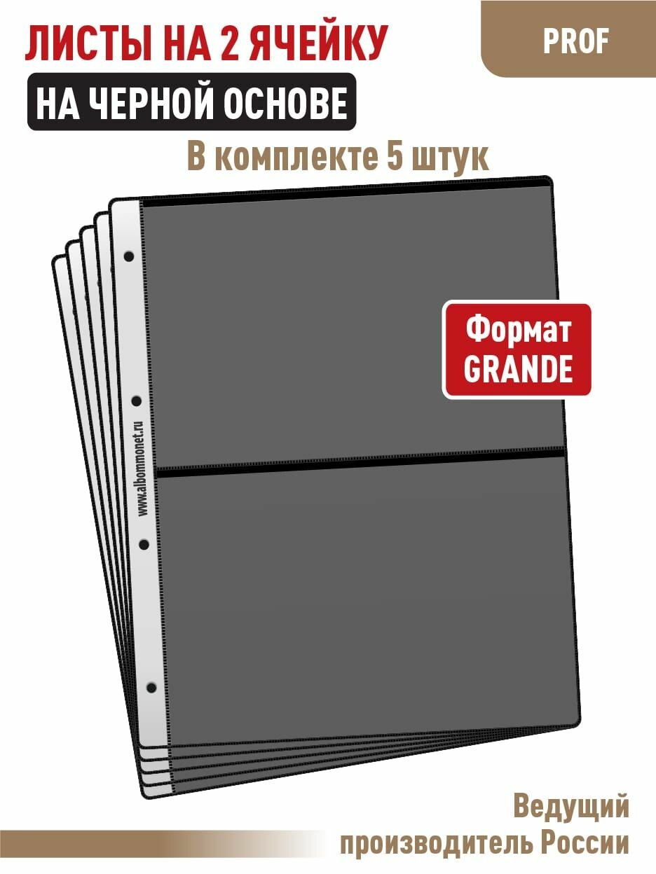 Комплект из 5 листов "ПРОФ" для хранения бон (банкнот) на 2 ячейку, односторонние на черной основе. Формат GRAND. Размер 250х310 мм