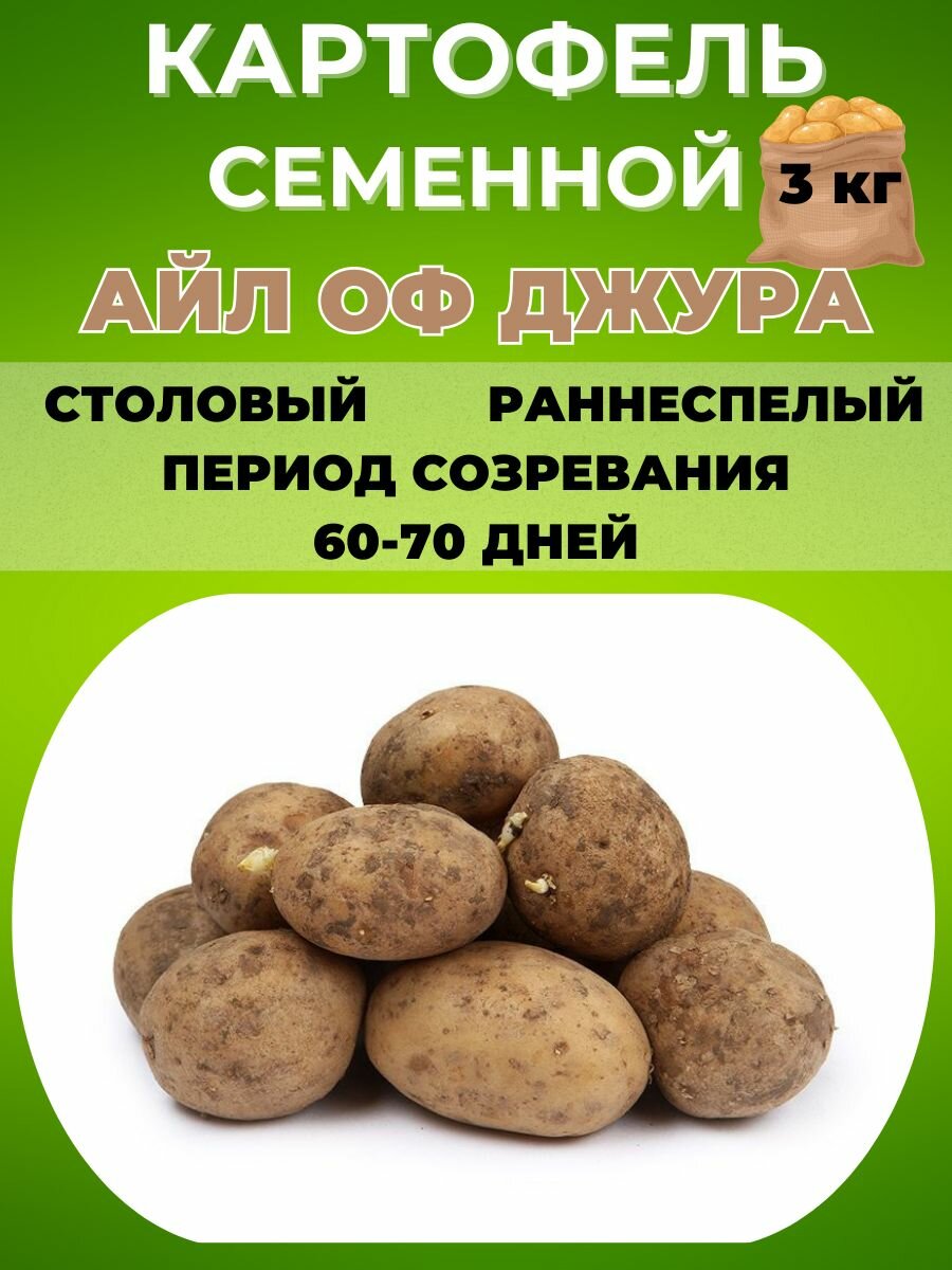 Картофель семенной Айл оф Джура 3 кг