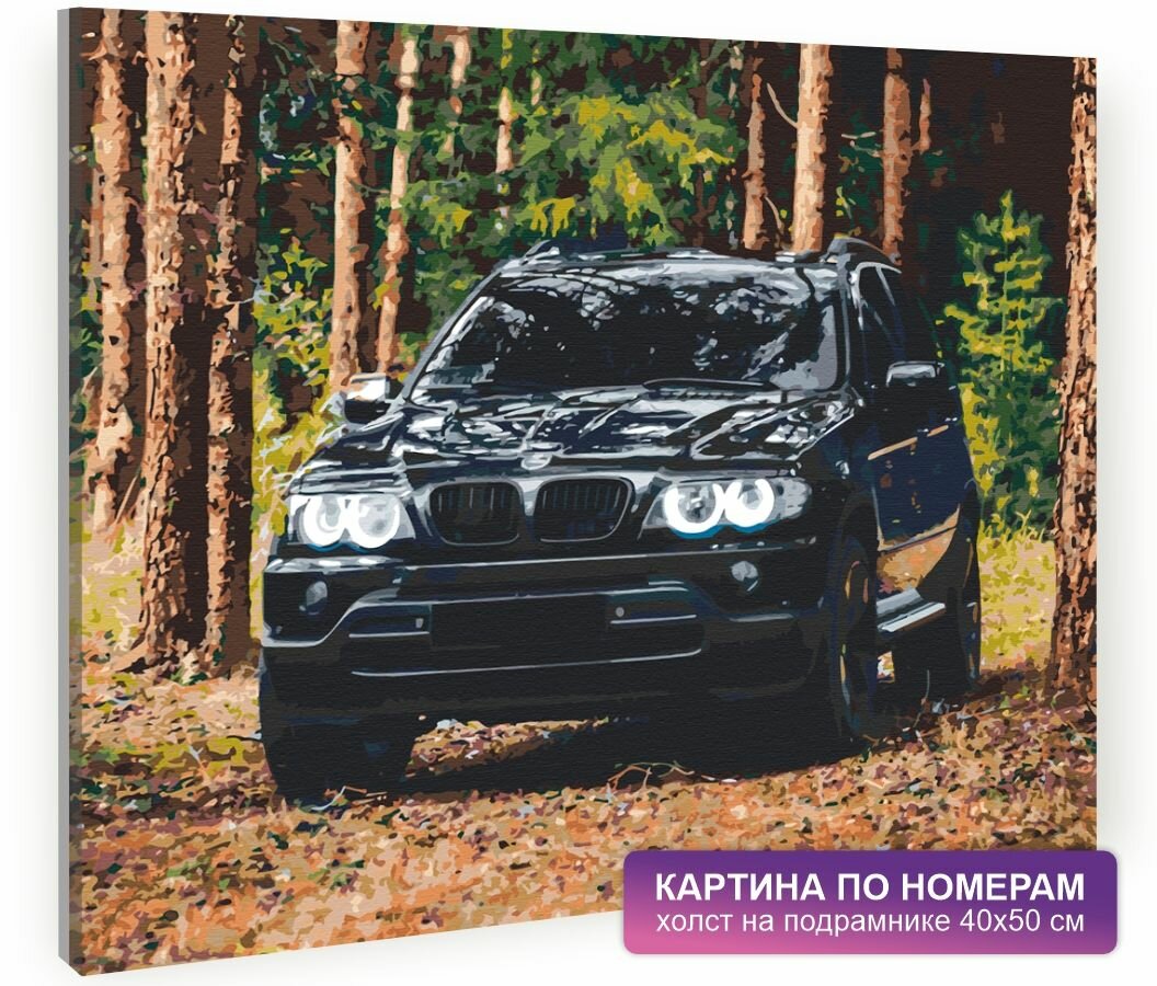 Картина по номерам на холсте с подрамником 40х50 см. Автомобиль, машина. "БМВ BMW X5", арт. 5563/