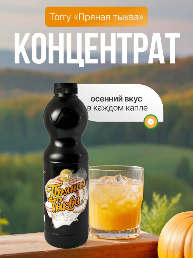 Основа Torry Пряная тыква, для коктейлей, напитков, десертов, пластиковая бутылка, 1 кг