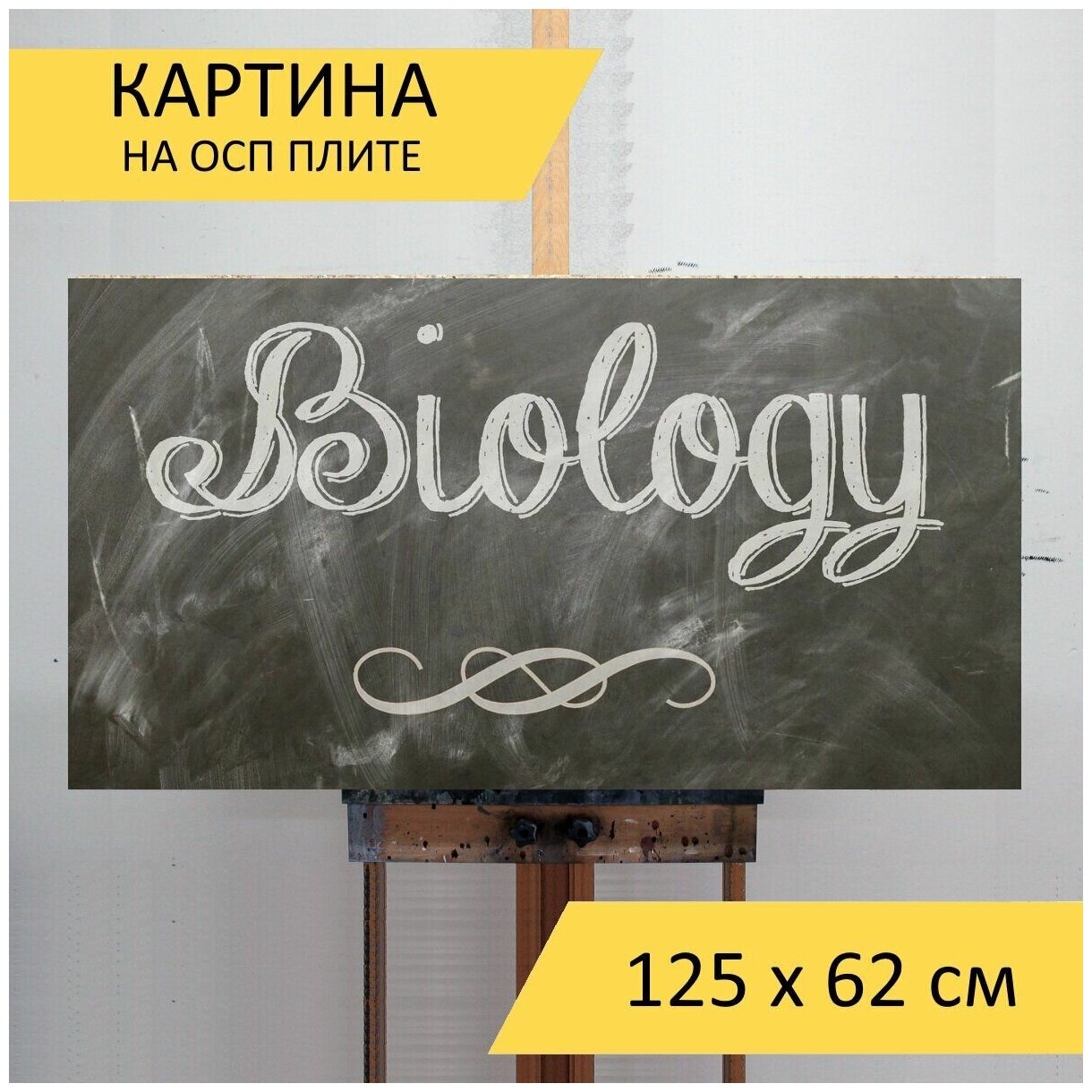 Клещи биология плакат — купить по низкой цене на Яндекс Маркете