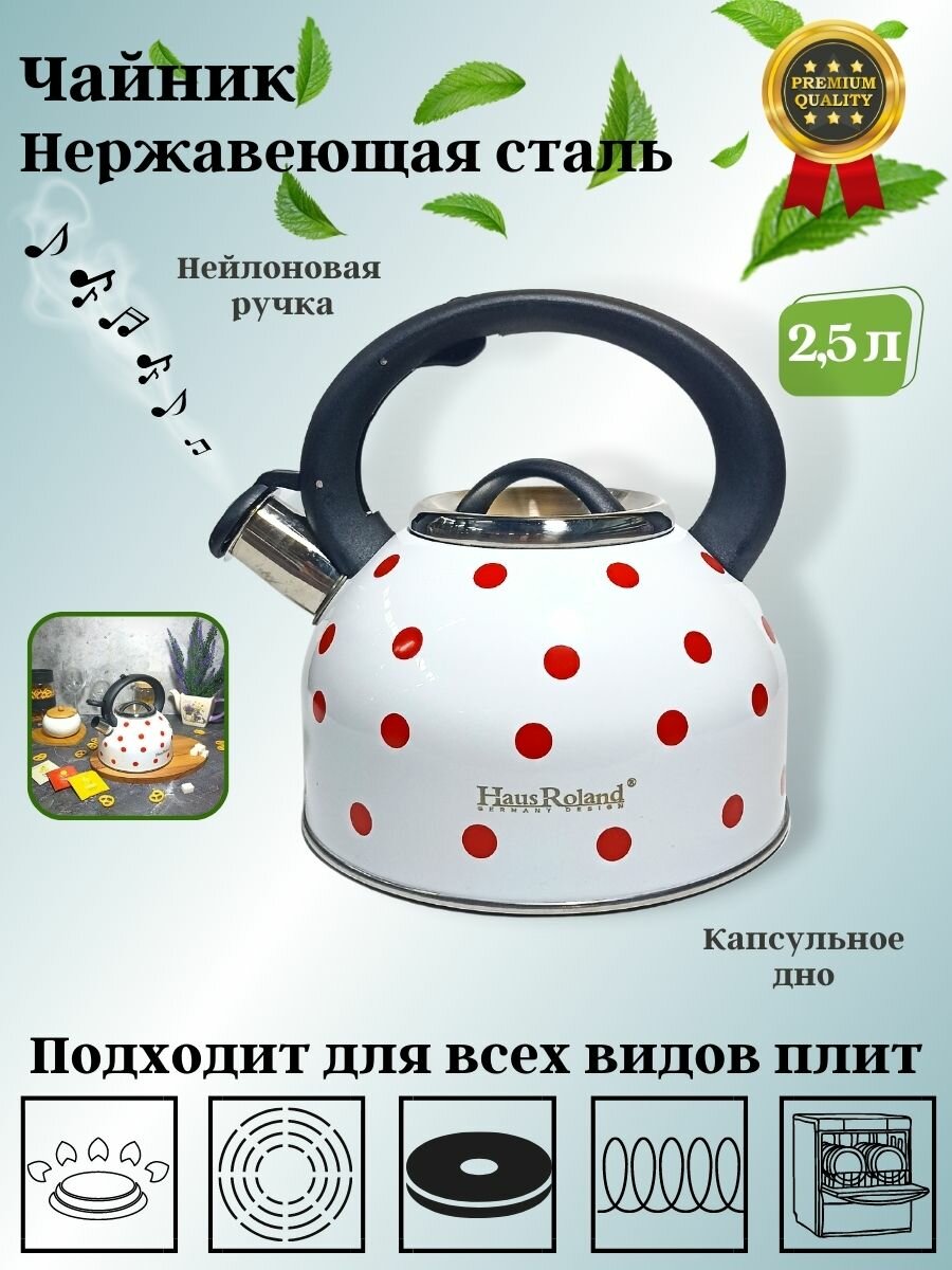 Чайник 2,5л нержавеющая сталь HR732-1 белый в красный горох OLS-001-5 Shanghai CO