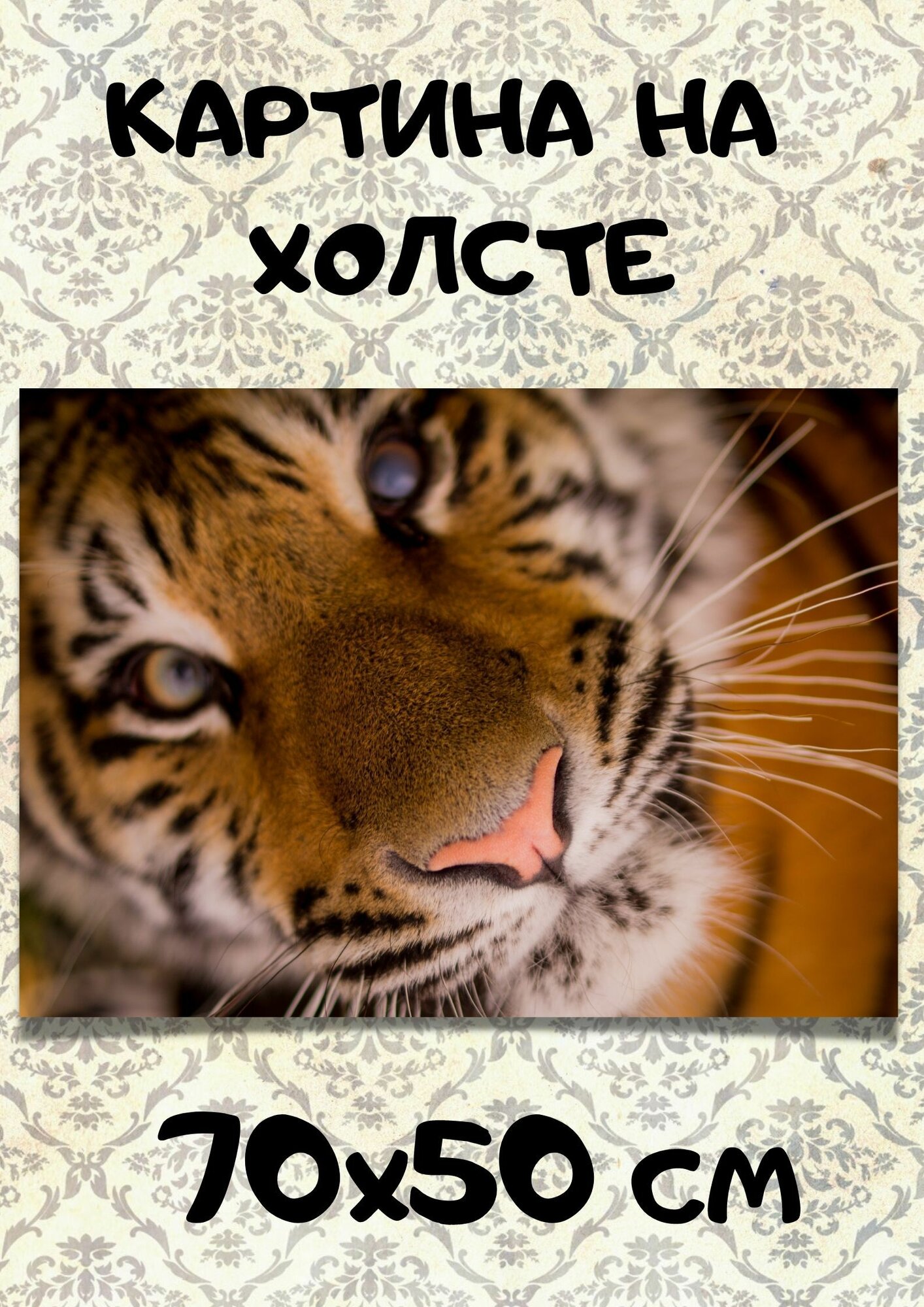 Картина с дикими животными "Мордочка тигра" 70х50 см