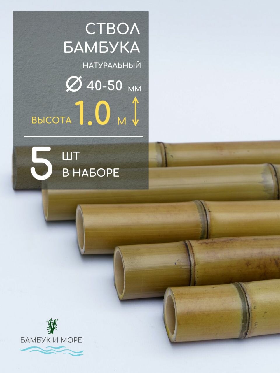 Ветка, шишка декоративная