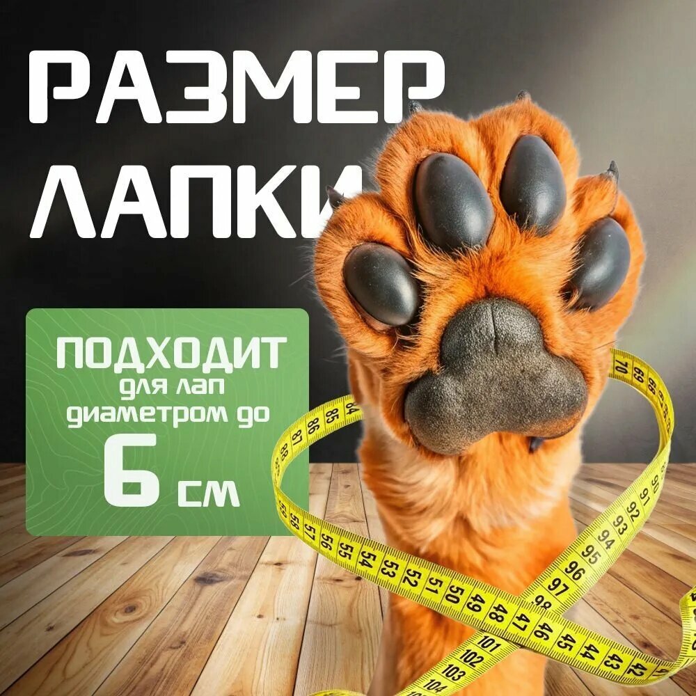 Лапомойка — фото 1