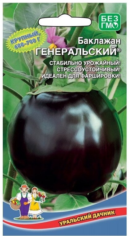 Баклажаны Генеральский (Урал. Дачник)