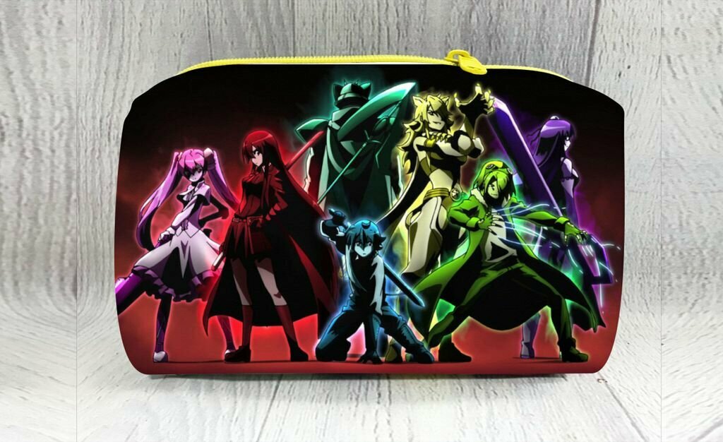 Пенал мягкий горизонтальный Убийца Акамэ, Akame ga Kill №4