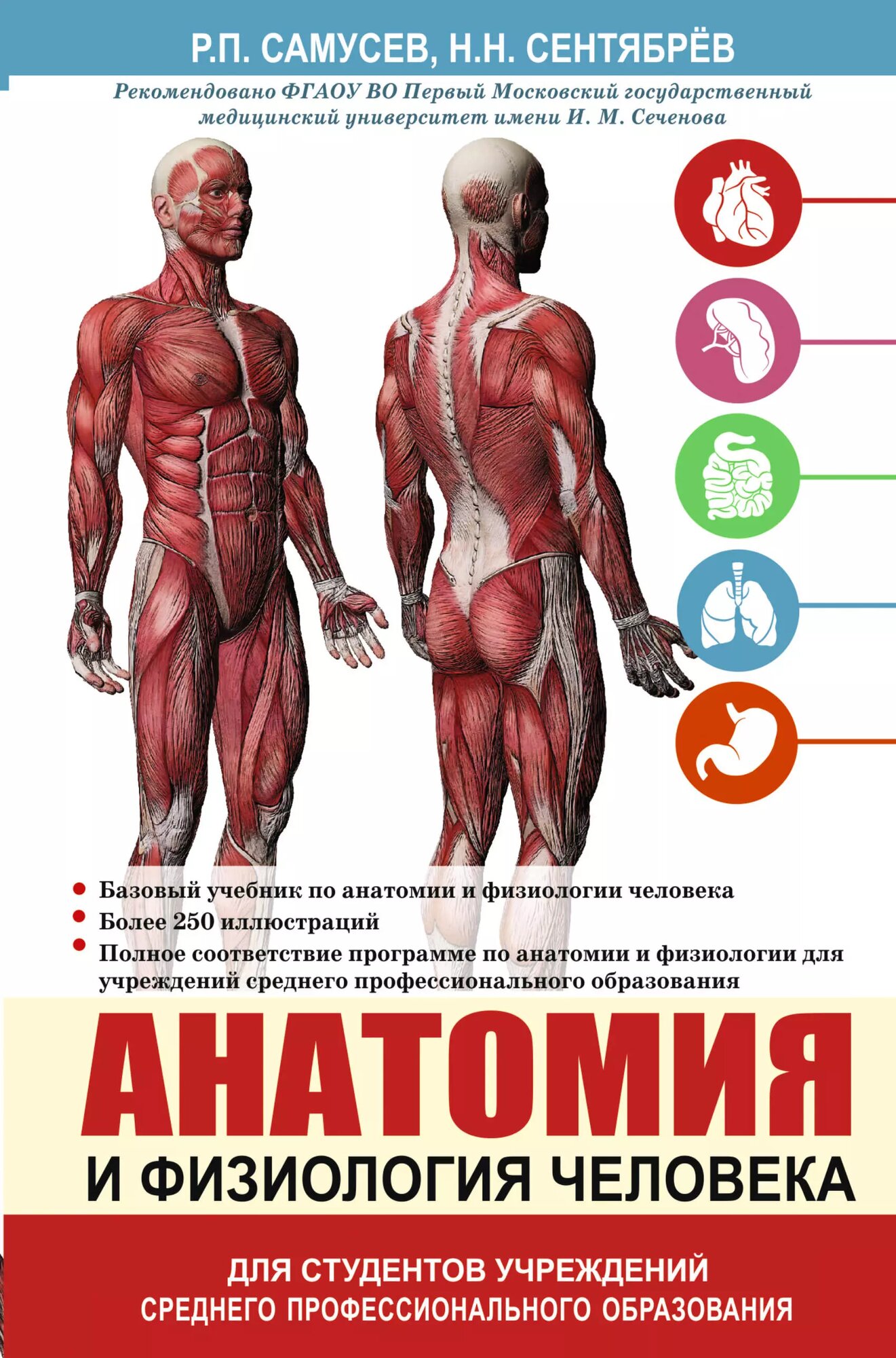 Анатомия и физиология человека. Учебное пособие для студентов учреждений среднего профессионального образования(Рудольф Самусев)