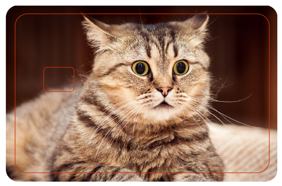 Наклейка на банковскую карту, стикер на карту, Кошки