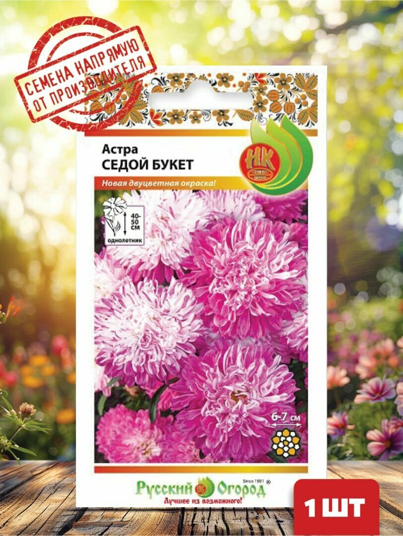 Астра Седой букет