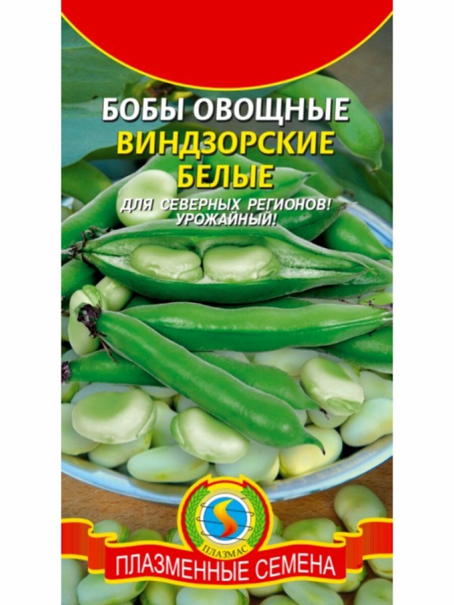 Бобы Виндзорские белые овощные 5 шт, Плазменные семена