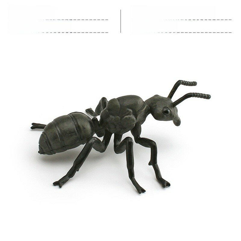 Реалистичная модель муравья pvc фигурка для научных проектов и украшения класса стиль i