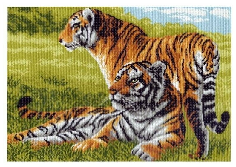 Рисунок на канве Матренин Посад "Бенгальские тигры", 37x49 см
