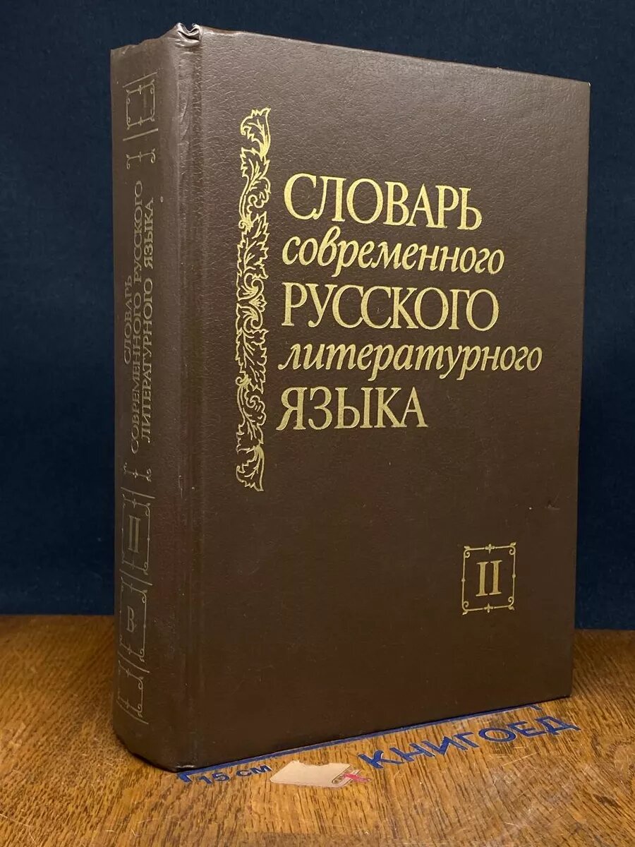 Книга. Словарь современного русского литературного языка. Том II 1991 (2041196876428)