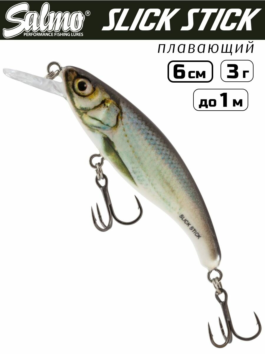 Воблер плавающий Salmo Slick Stick 6 см, цвет RBL